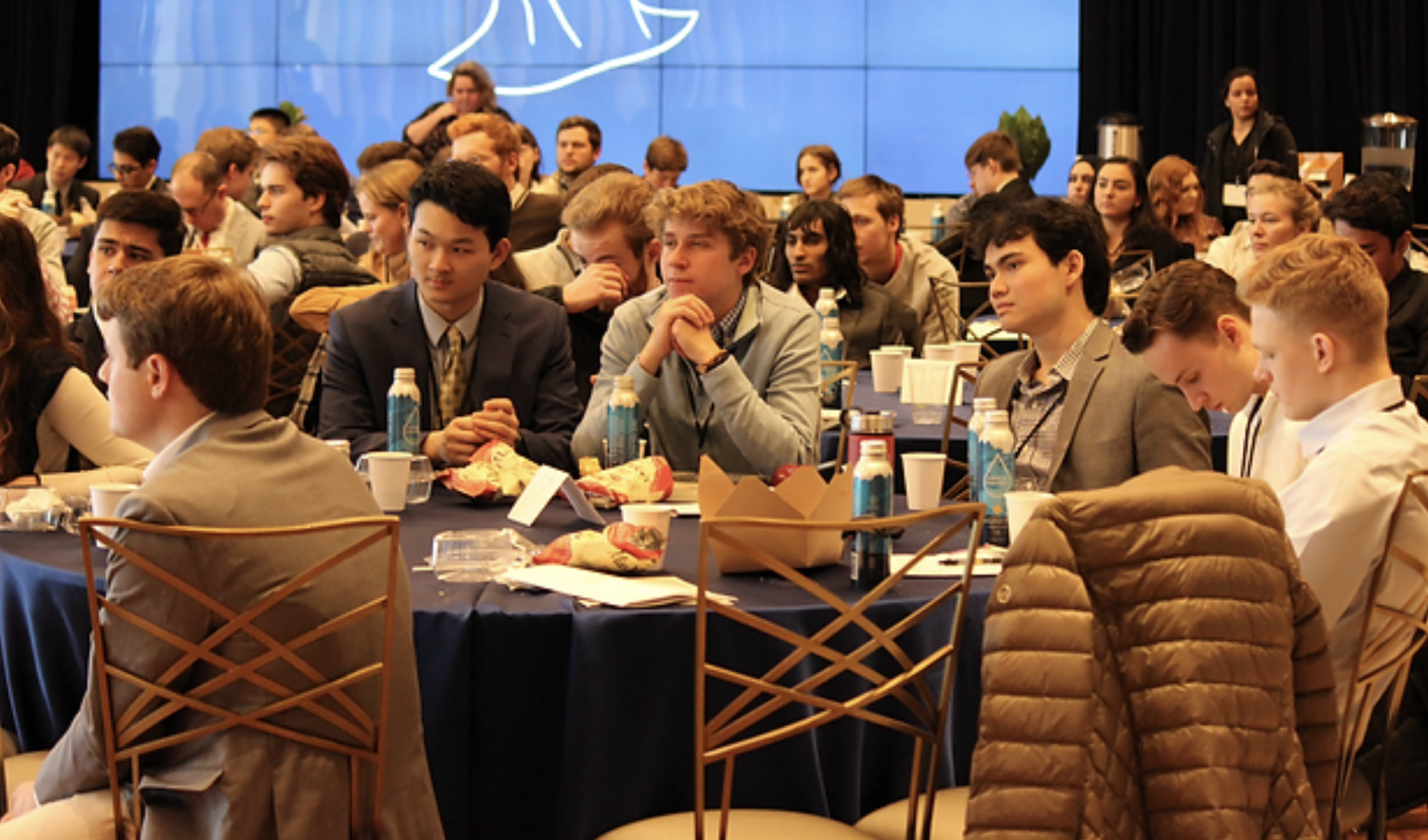 Review Reviews The David Network’s 2024 Conference: The Swampy City ...
